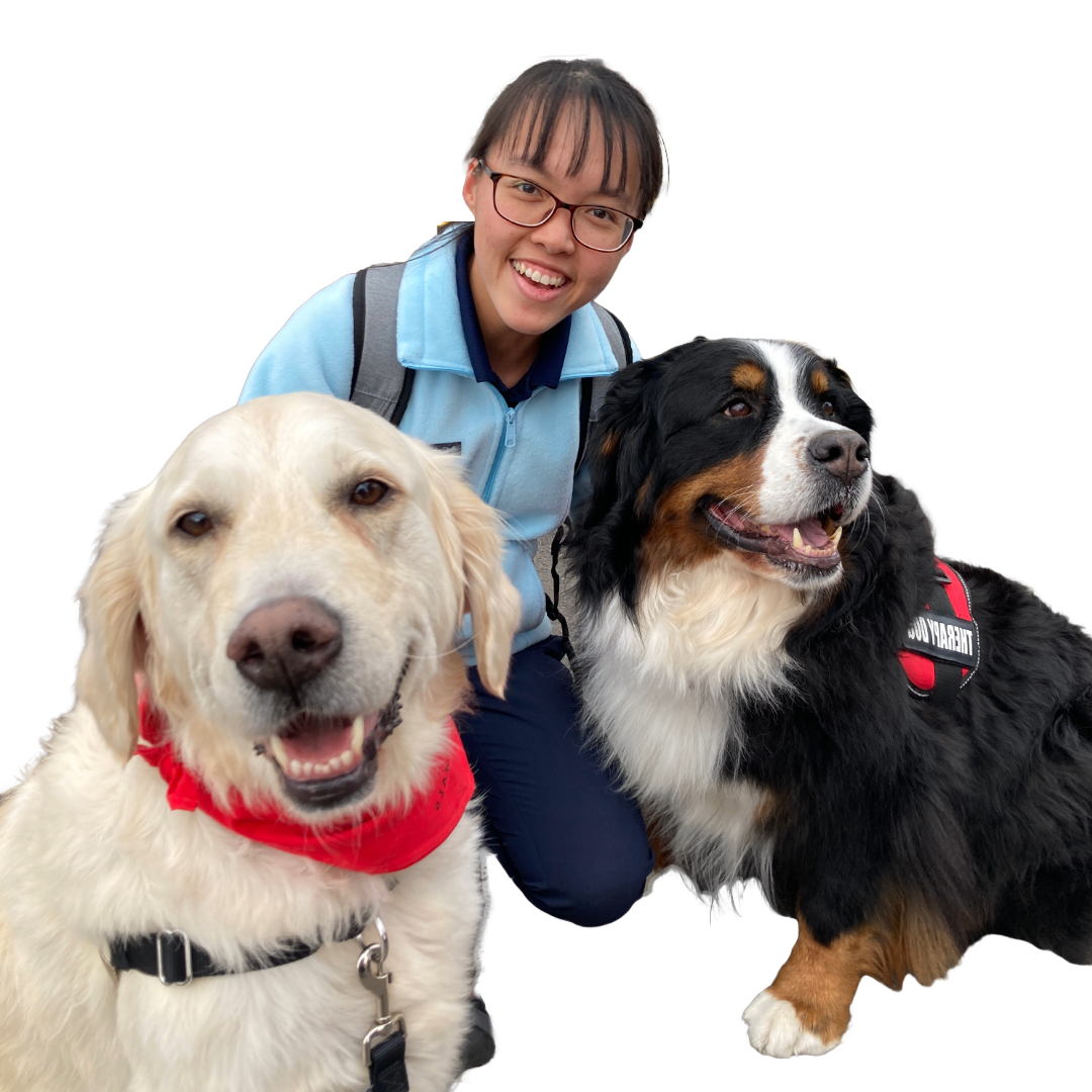 Dogtor Tron Tutoring